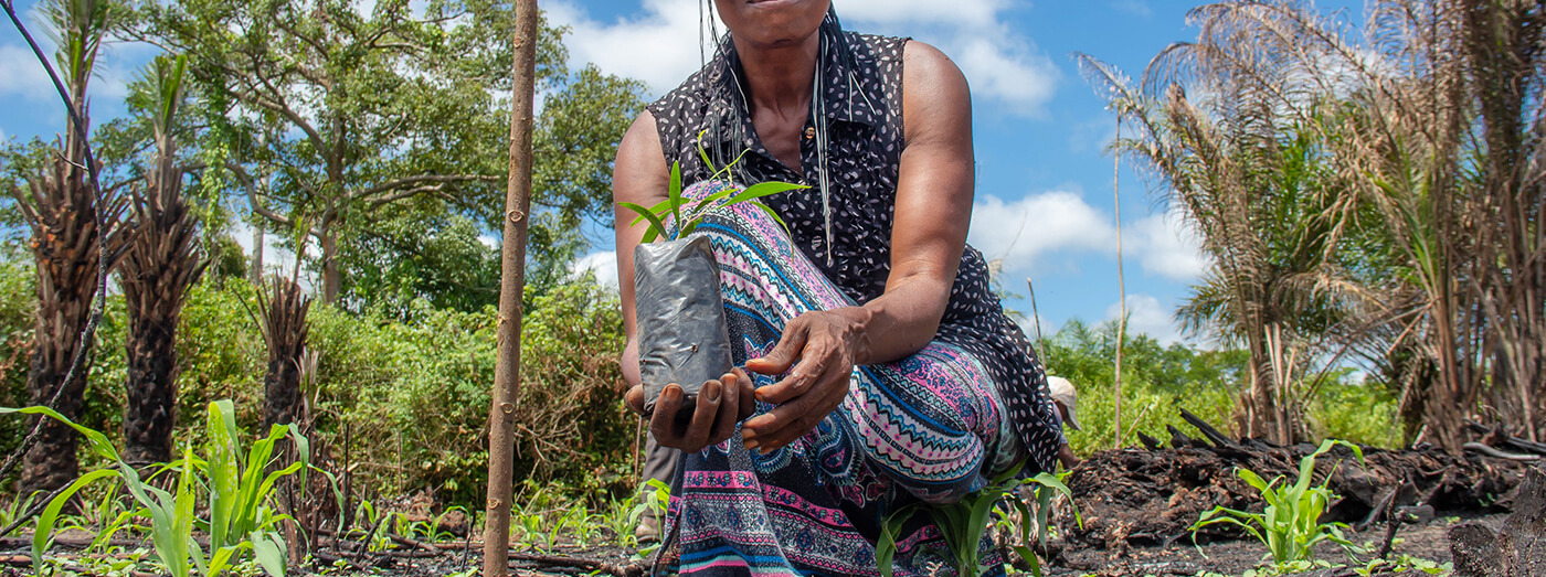 State of climate action: Assessing progress toward 2030 and 2050 ...